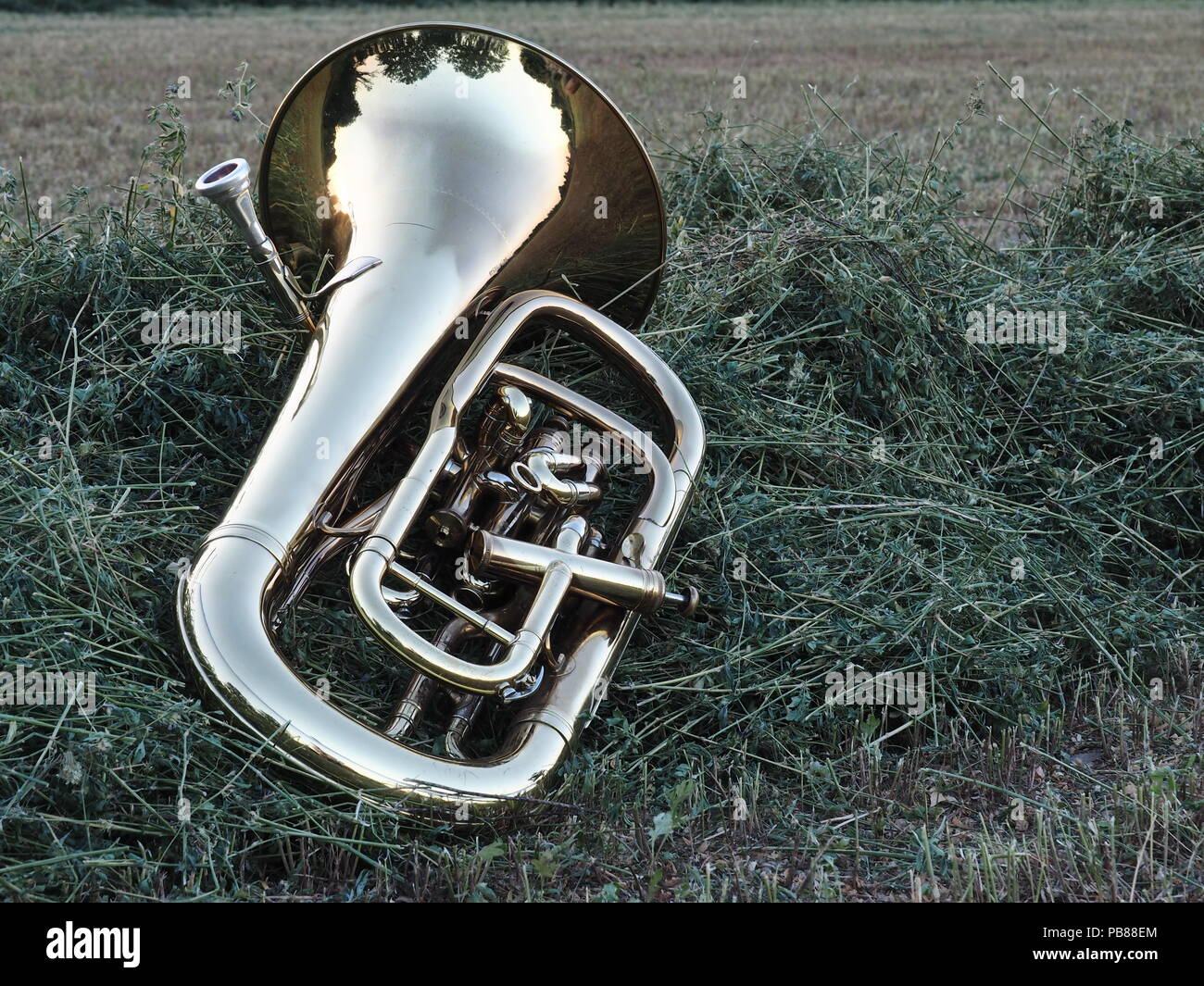 Euphonium hi-res stock photography and images - Alamy