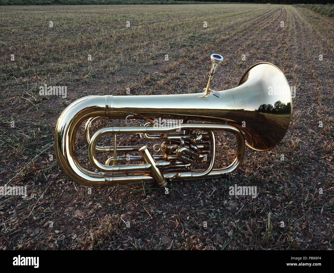 Euphonium hi-res stock photography and images - Alamy