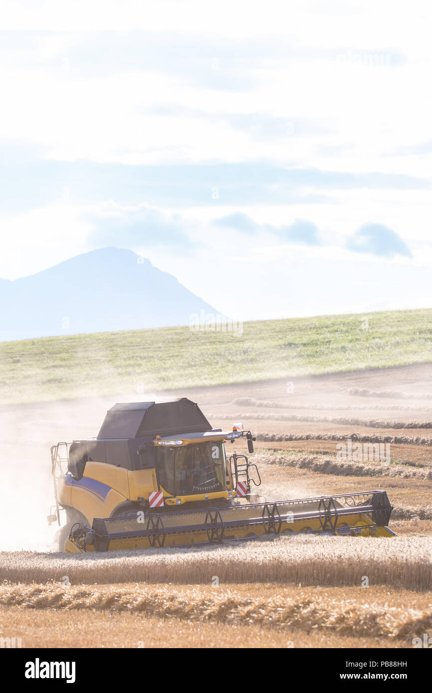 Combine harvester in work on wheat field Stock Photo - Alamy