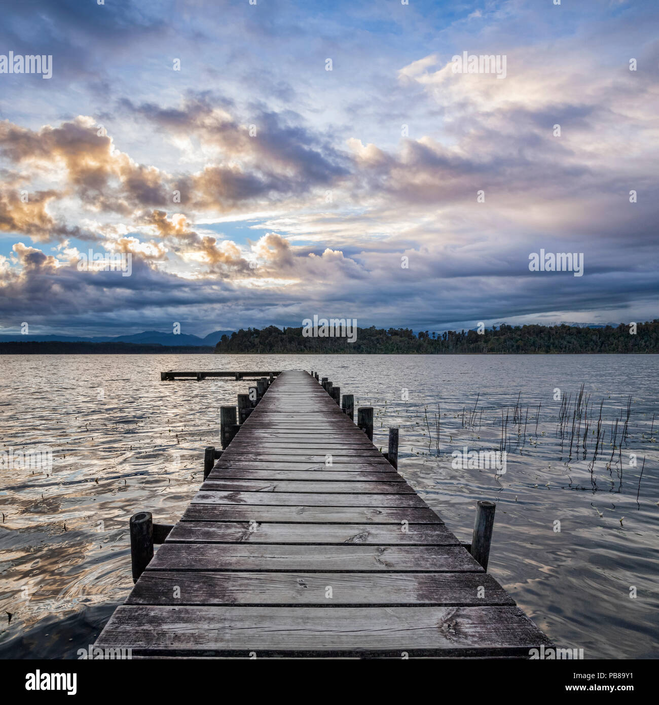 Jetty at Lake Mapourika, on the West Coast of New Zealand's South ...