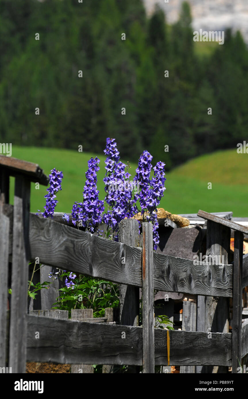 La val alta badia hi-res stock photography and images - Alamy