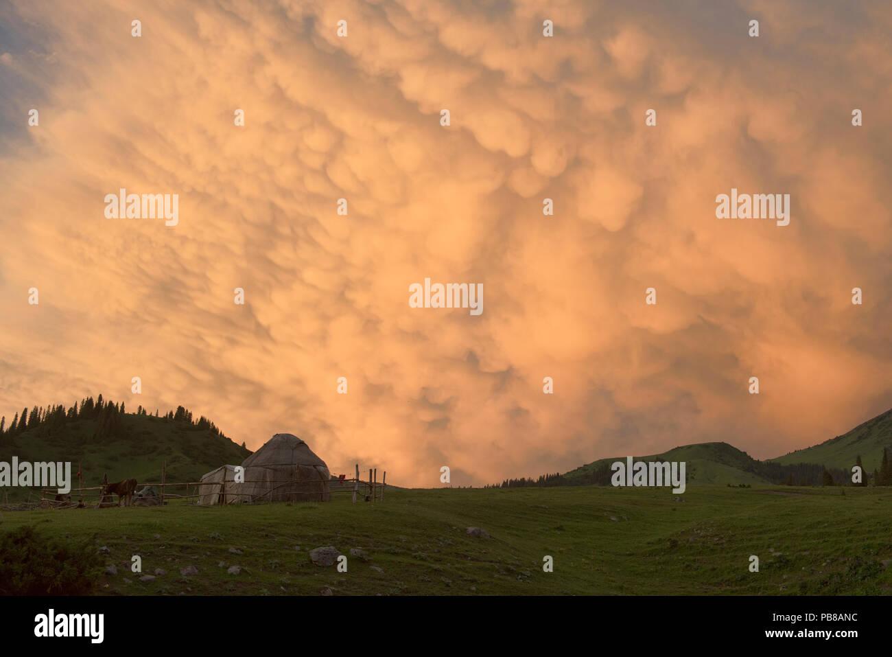 Magical alpine sunset, Keskenkija Trek, Jyrgalan, Kyrgyzstan Stock ...