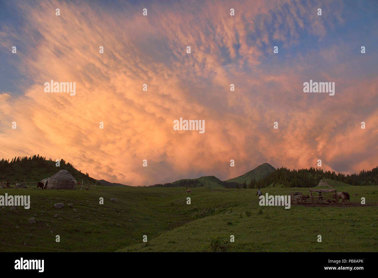Magical alpine sunset, Keskenkija Trek, Jyrgalan, Kyrgyzstan Stock ...