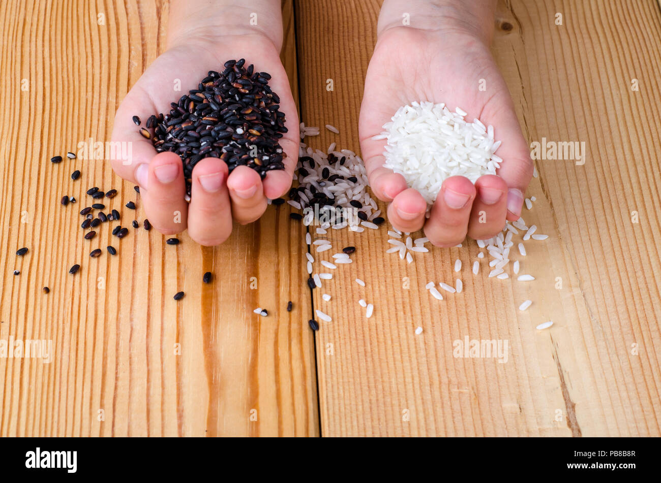 Black and white rice in hands. Studio Photo Stock Photo - Alamy