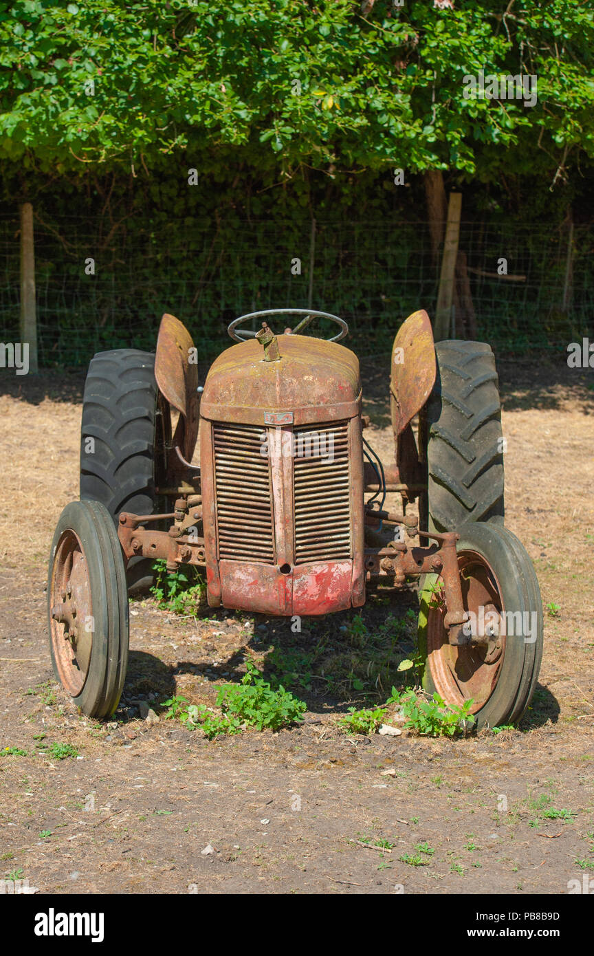 Forgotten Old Tractor Stock Photos & Forgotten Old Tractor Stock Images ...
