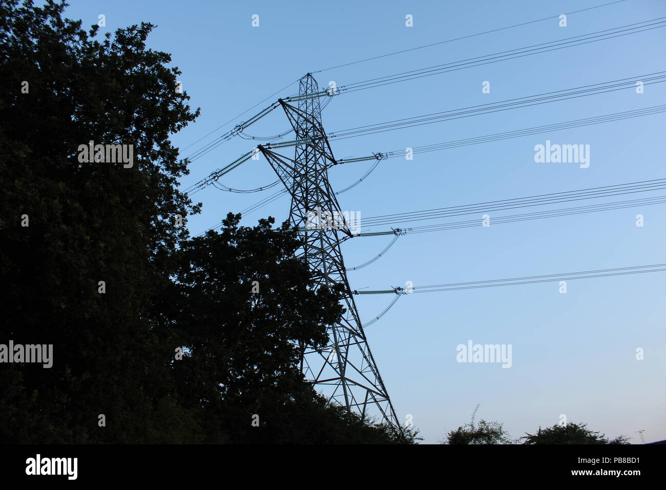 Pylon power line behind tree in residential area Stock Photo - Alamy