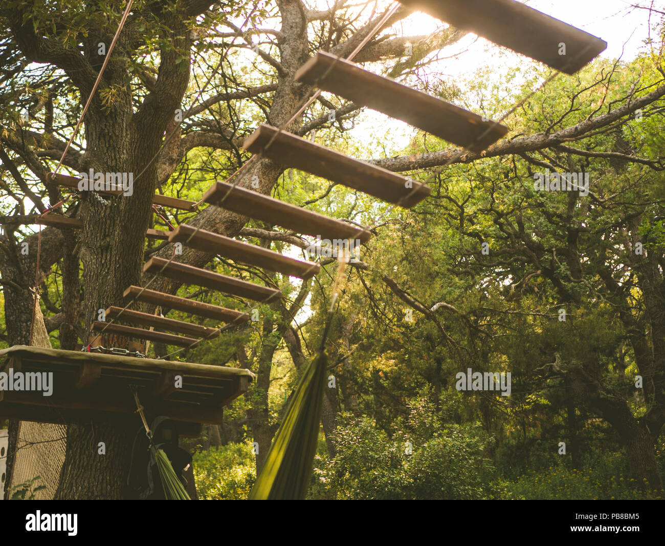 rope bridge between the trees in park leisure activity holiday sport ...