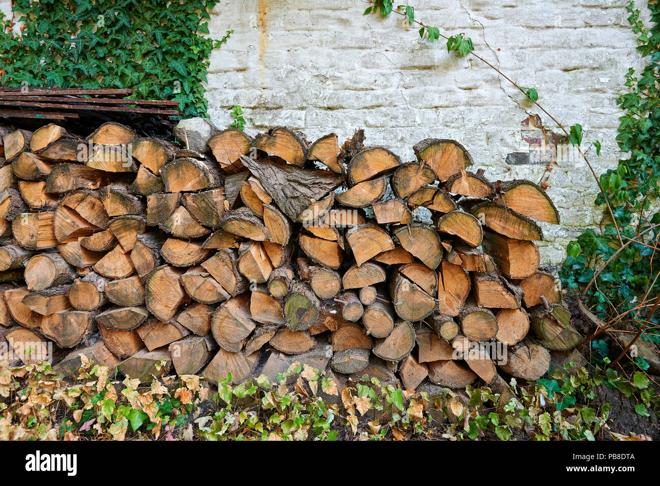 Wood pile against wall logs hi-res stock photography and images - Alamy