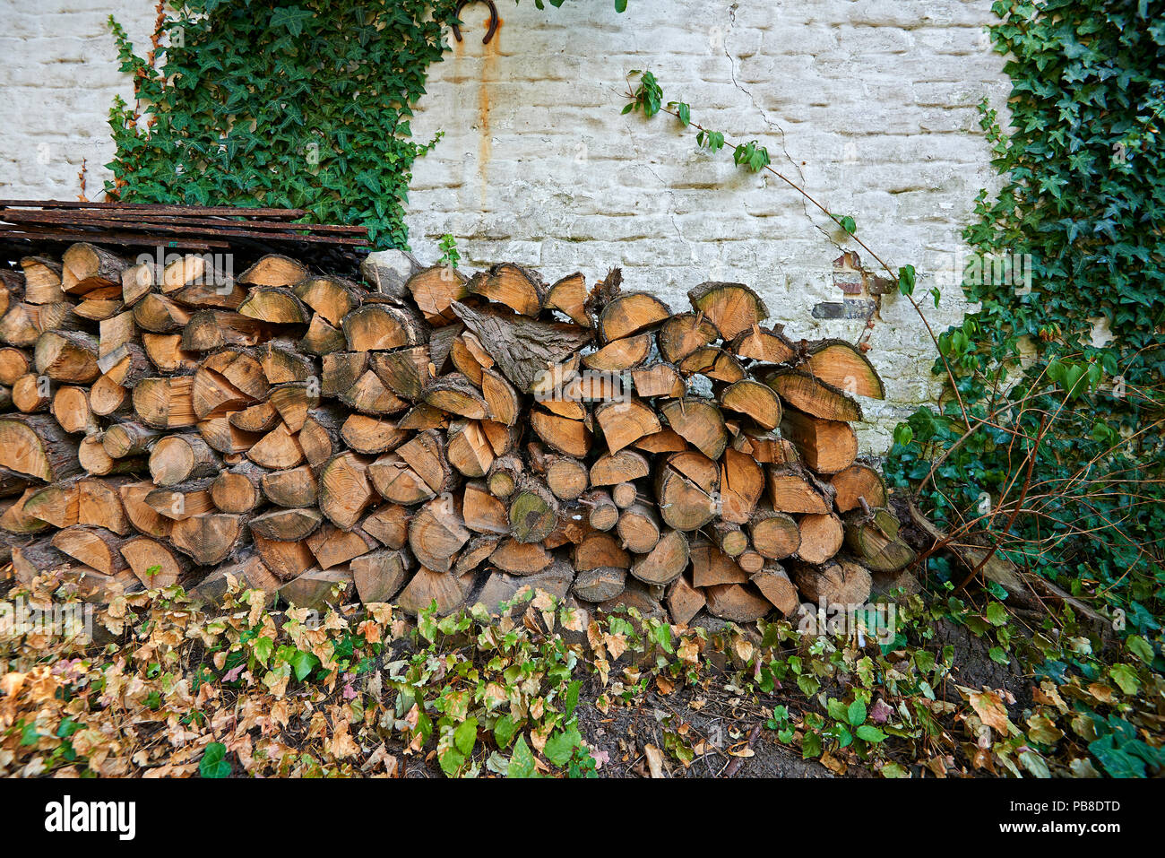Wood pile against wall logs hi-res stock photography and images - Alamy