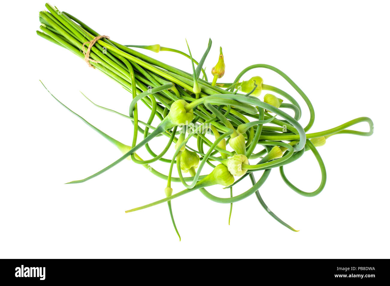 Garlic shoots on white background. Studio Photo Stock Photo - Alamy