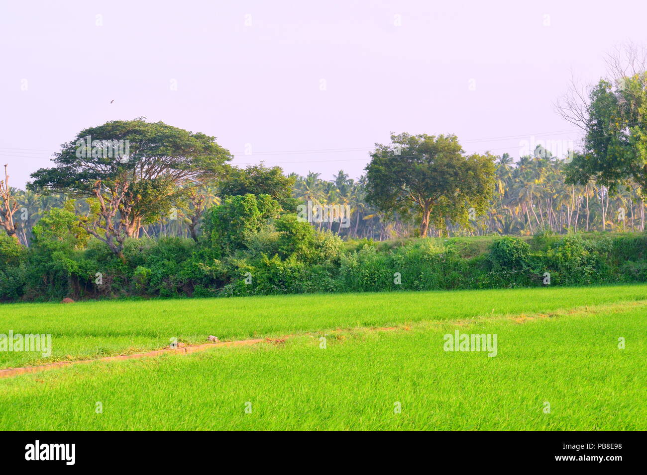Terrace farming in india hi-res stock photography and images - Alamy