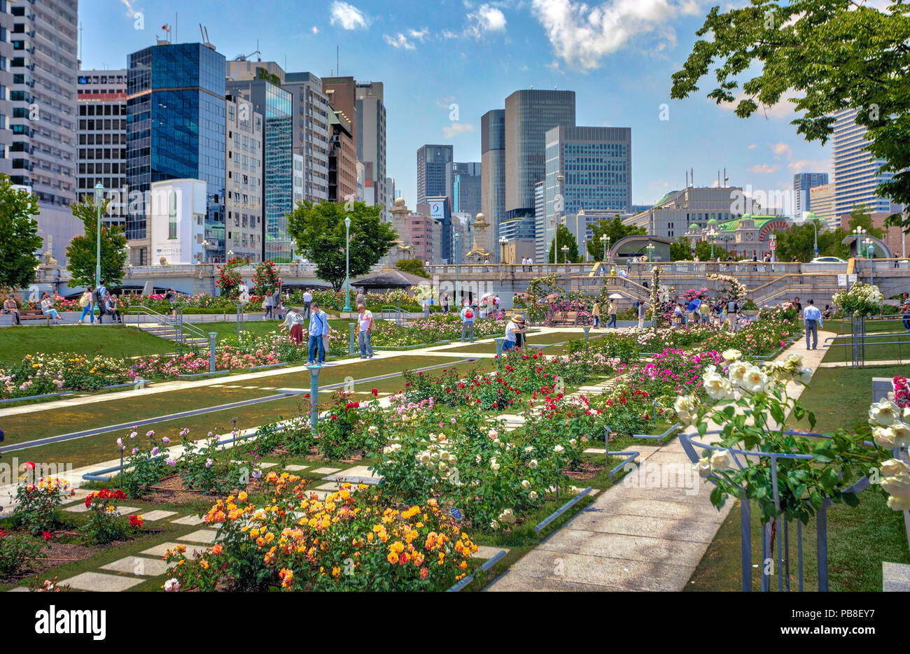 Japan, Osaka City, Nakanoshima Island Rose Garden Stock Photo - Alamy