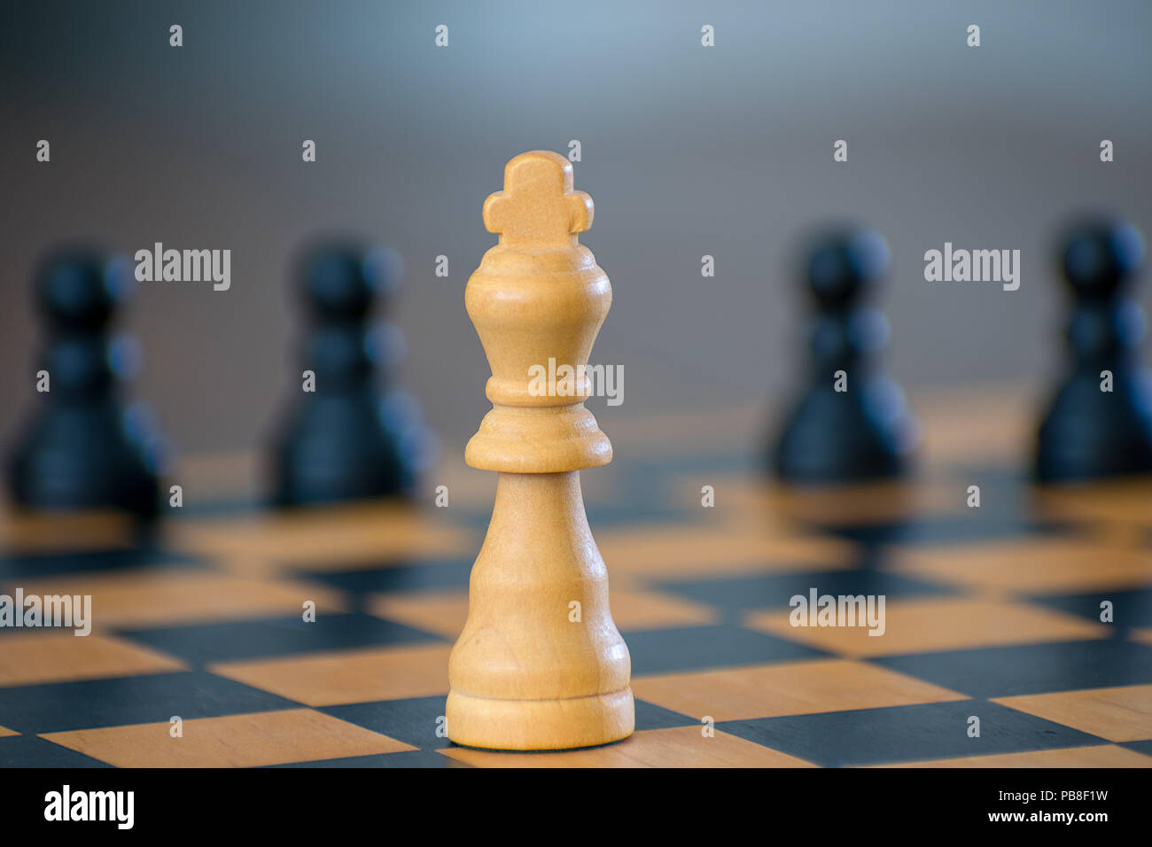 Chess Board and Chess Pieces Stock Photo - Alamy
