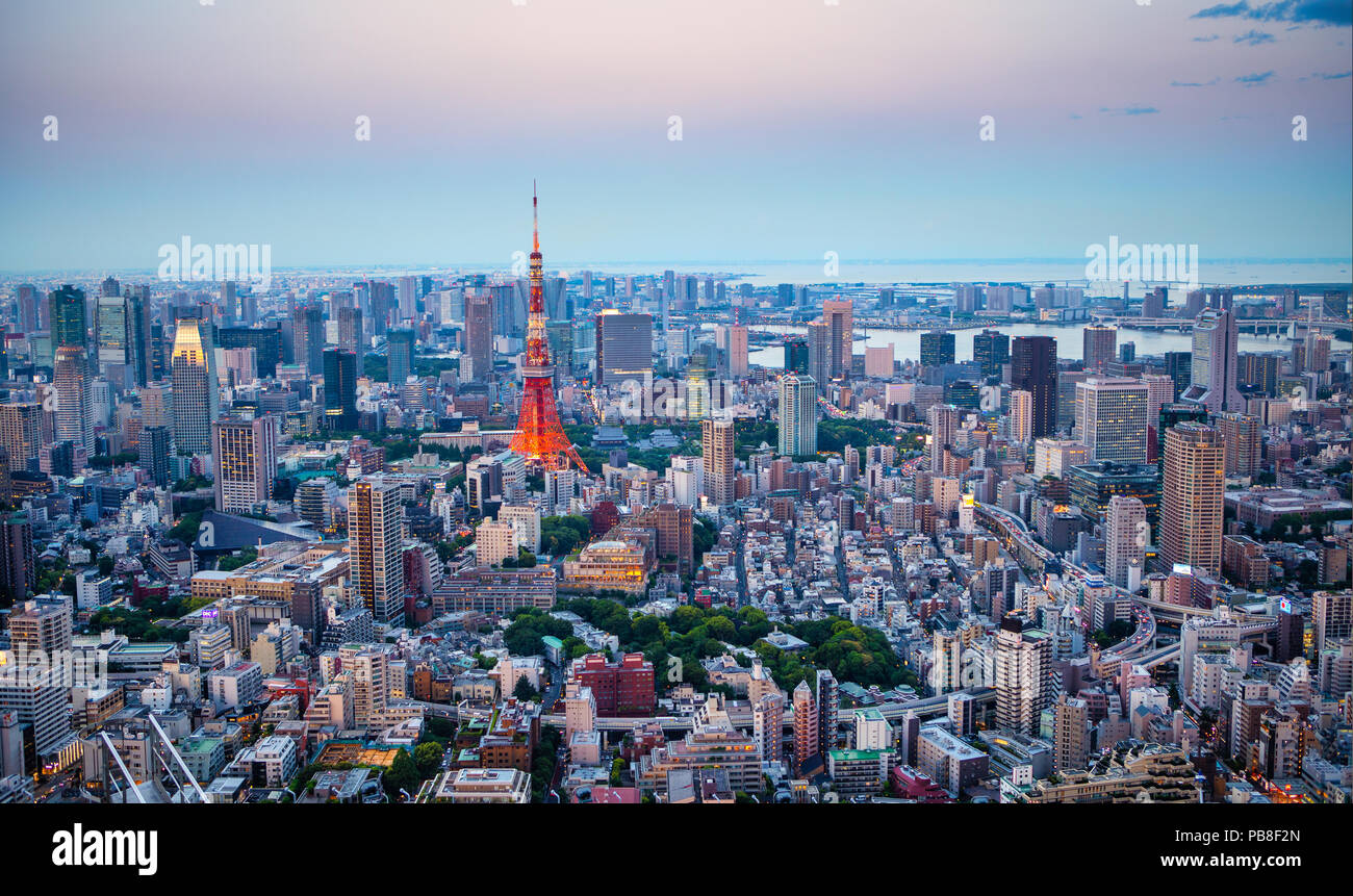 Japan, Tokyo City, Minato Ku Panorama, Tokyo Tower Stock Photo - Alamy