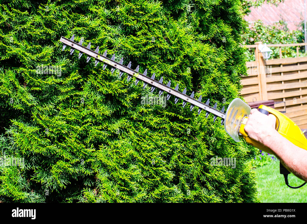 Cutting box hedge hi-res stock photography and images - Alamy