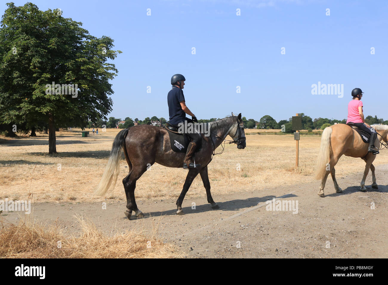 Wimbledon stables hi-res stock photography and images - Alamy