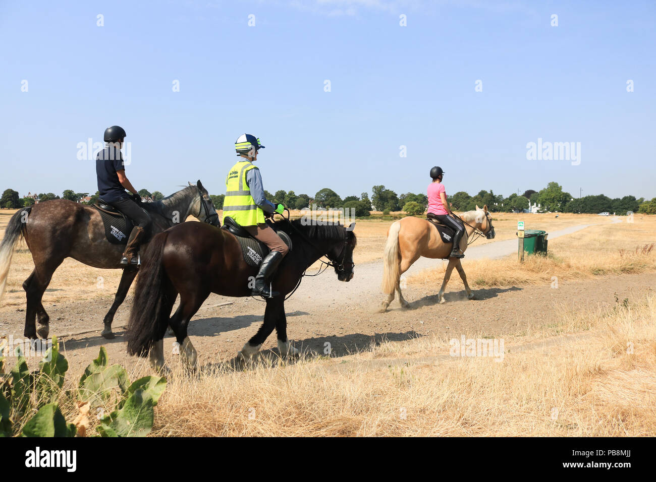 Wimbledon stables hi-res stock photography and images - Alamy