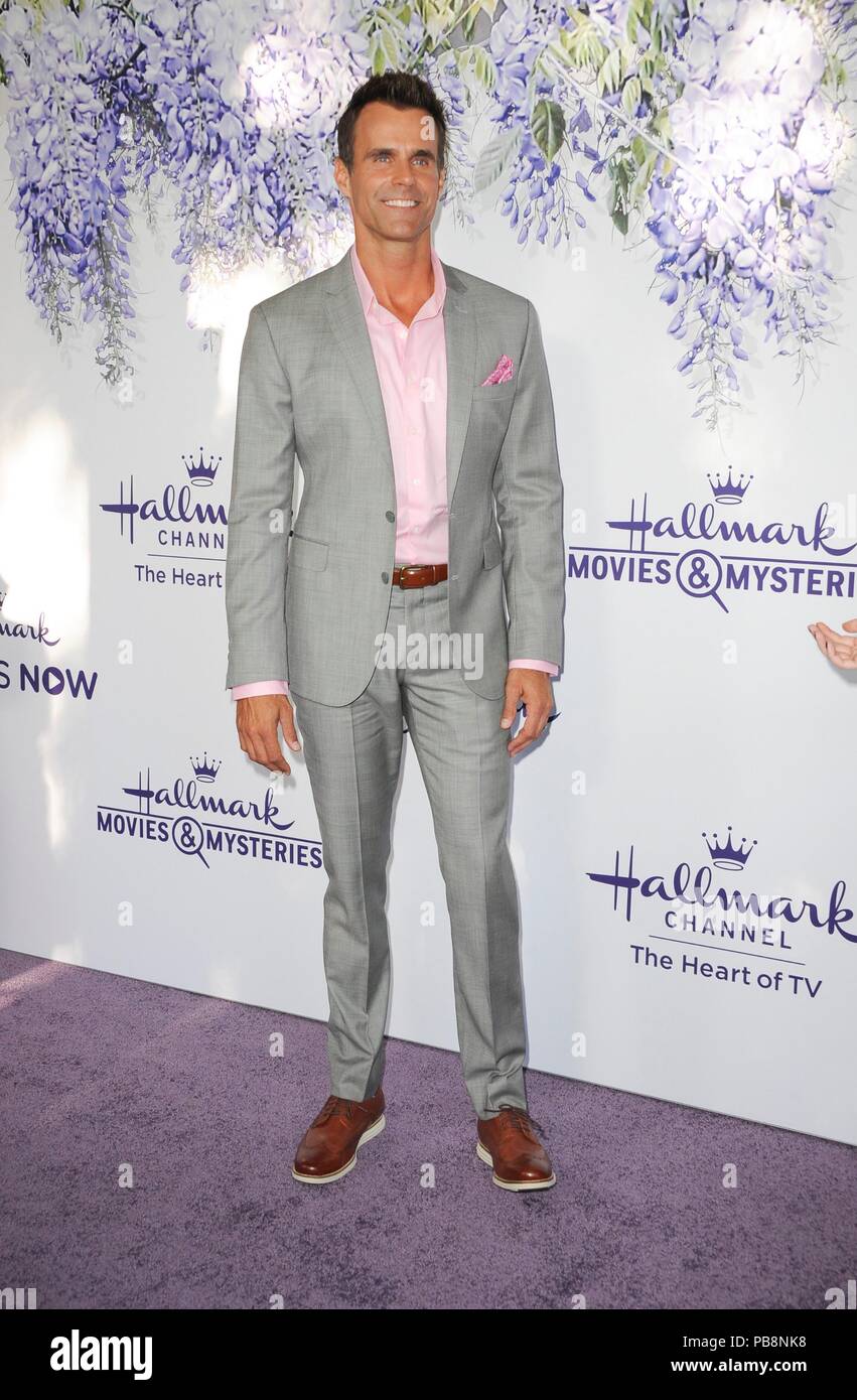 Beverly Hills, CA. 26th July, 2018. Cameron Mathison at arrivals for ...