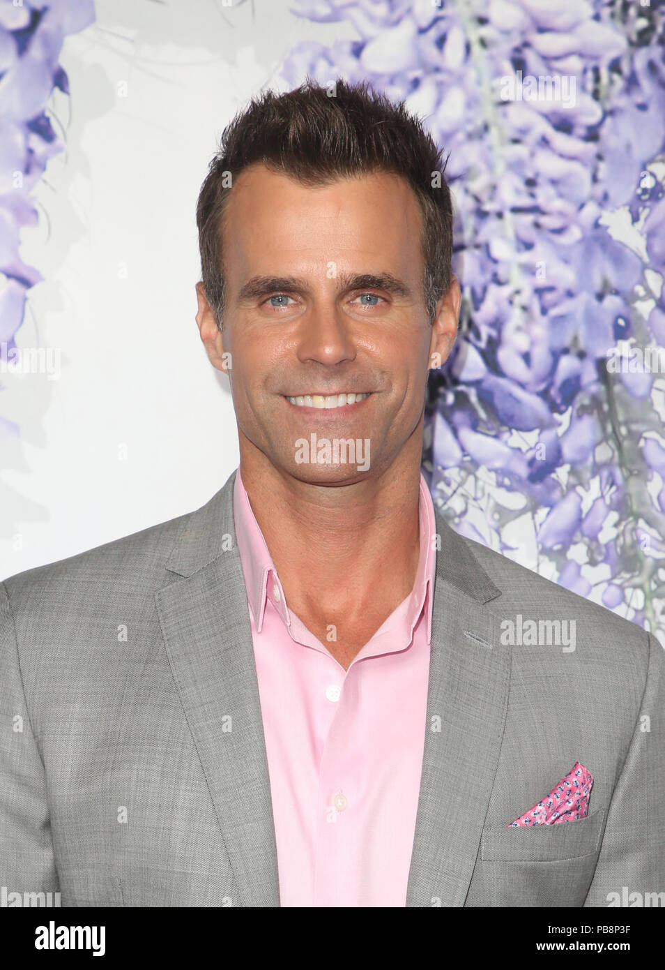 Beverly Hills, Ca. 26th July, 2018. Cameron Mathison, at the Hallmark ...