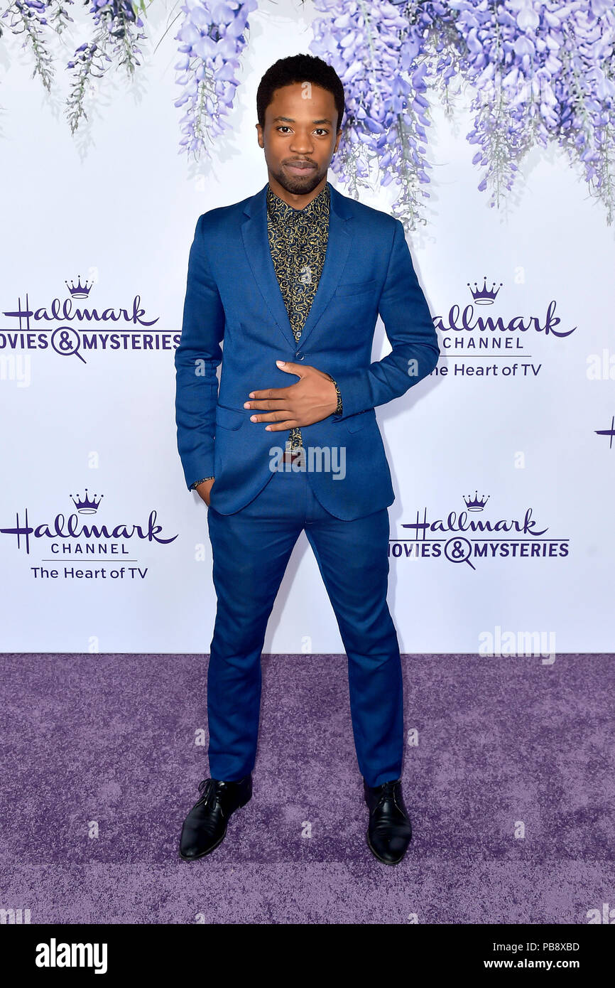 Beverly Hills, USA. 26th July 2018. Dewshane Williams attending the ...