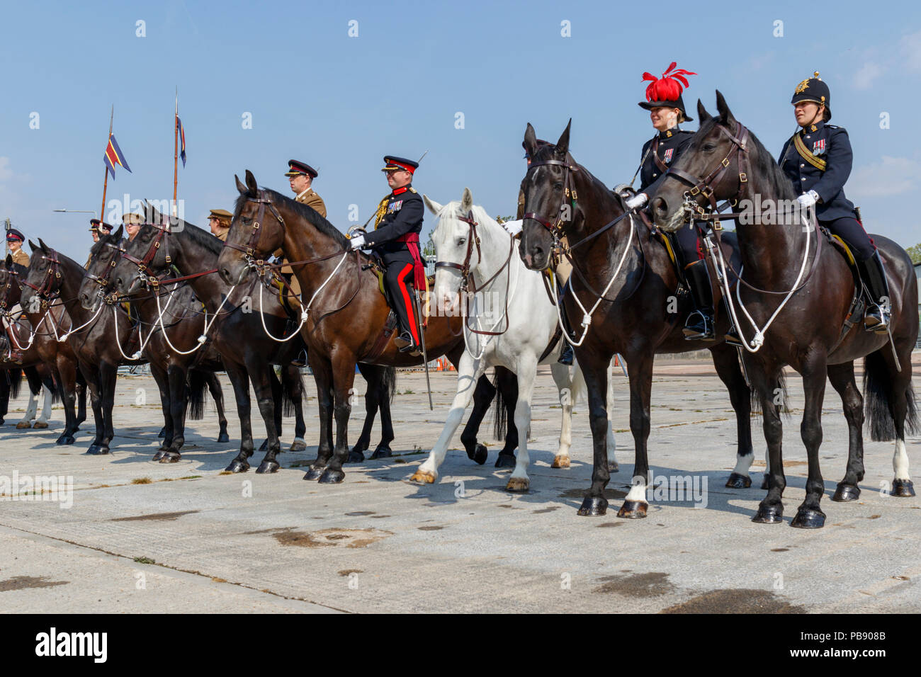 The royal army veterinary corps hi-res stock photography and images - Alamy