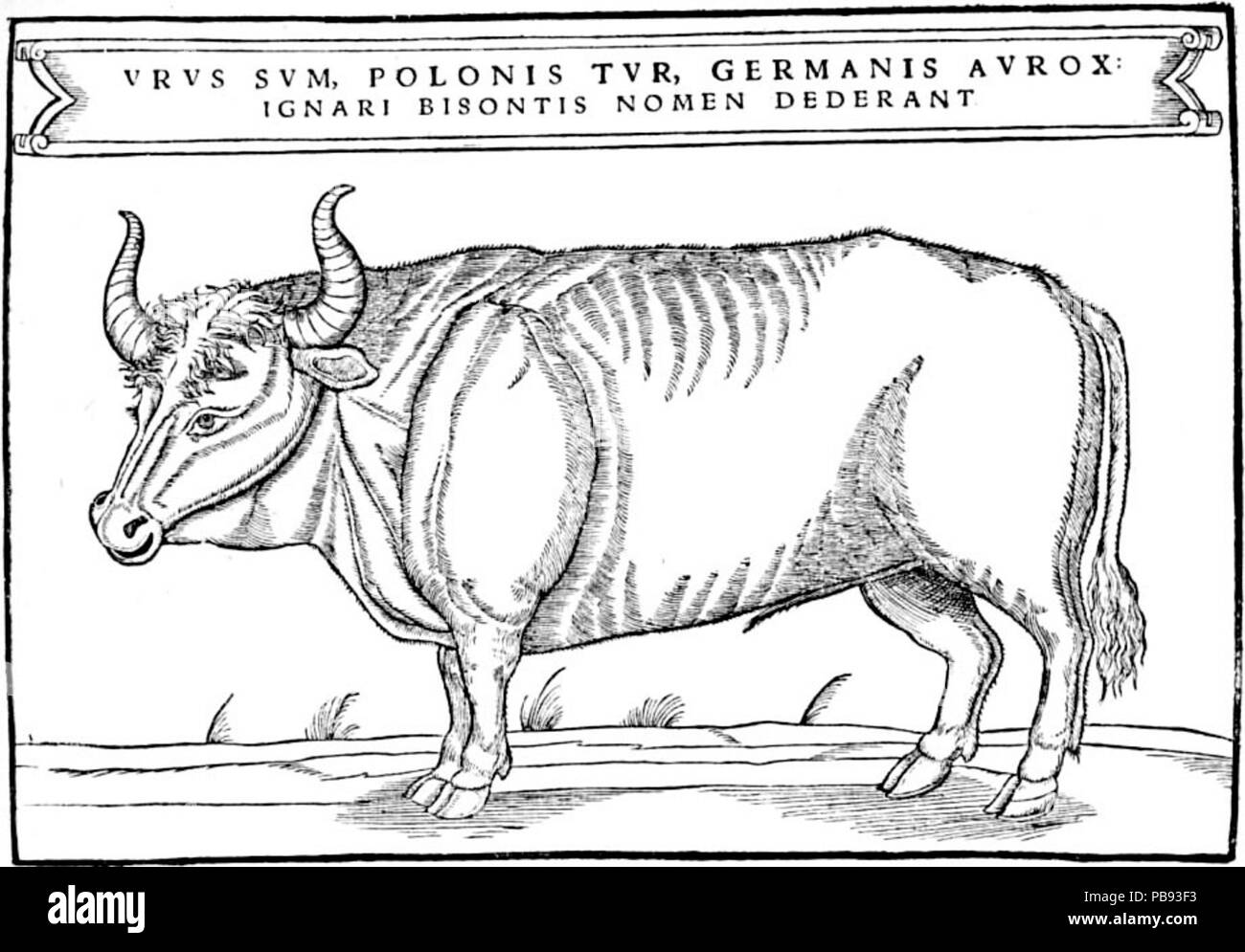 396a hi-res stock photography and images - Alamy