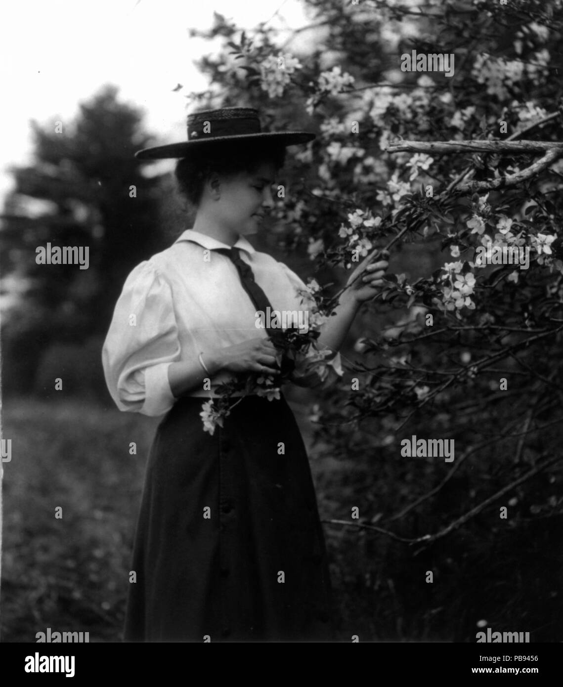 750 Helen Keller with blooming tree cph.3b07692 Stock Photo - Alamy