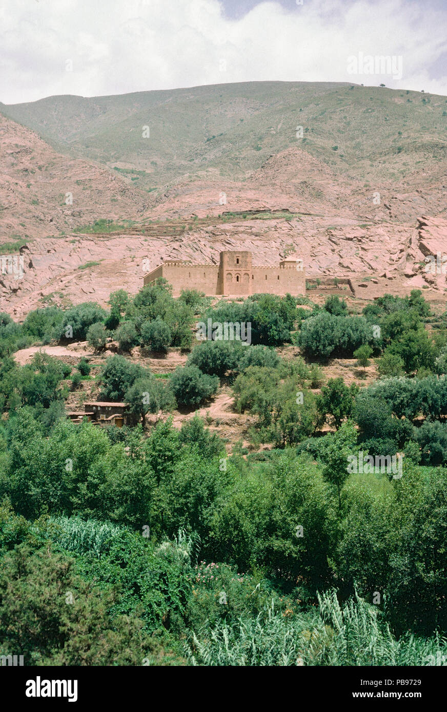 view of Great Mosque, Tinmal, Morocco Stock Photo - Alamy