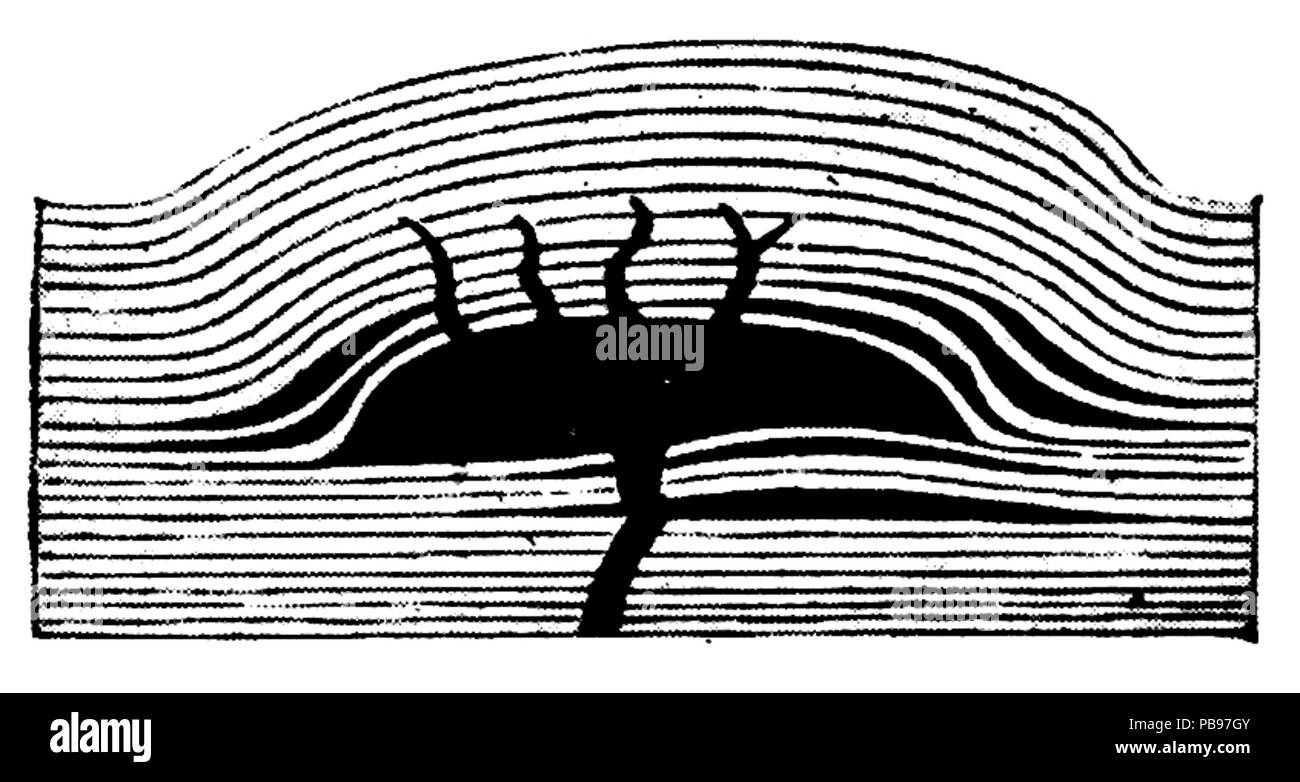 Abstract art evolution hi-res stock photography and images - Alamy