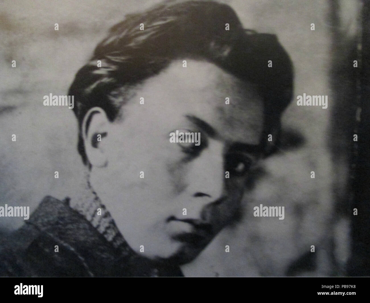 Delaunay portrait hi-res stock photography and images - Alamy