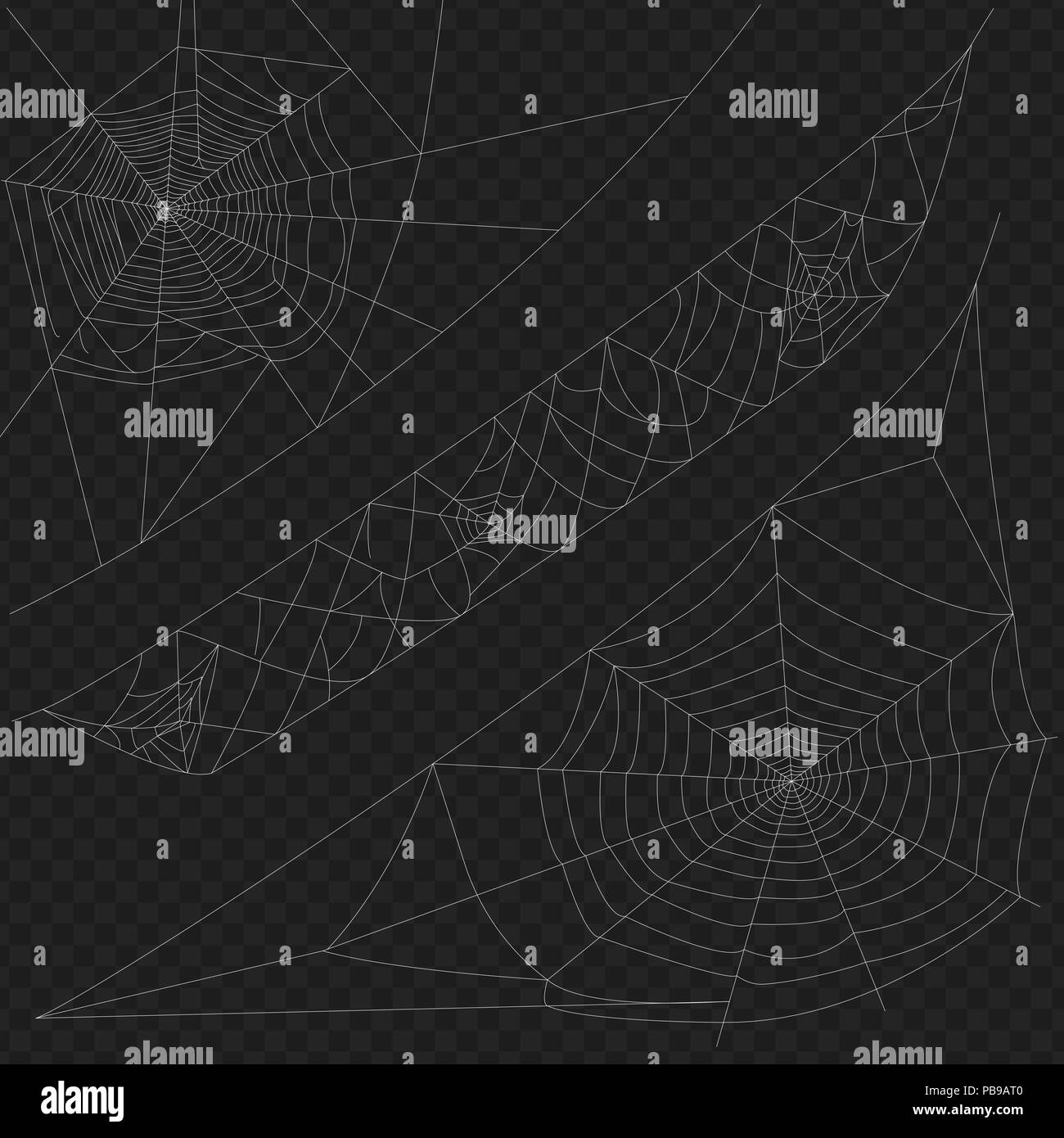 Spider spinneret Black and White Stock Photos & Images - Alamy