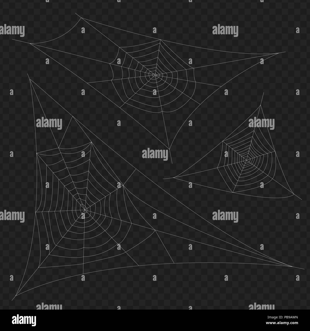 Spider spinneret Black and White Stock Photos & Images - Alamy