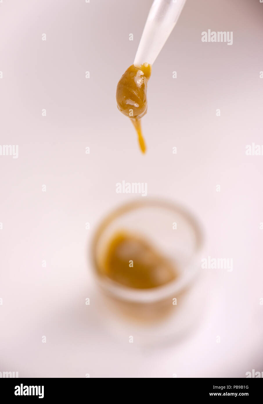 Concentrate plant hi-res stock photography and images - Alamy