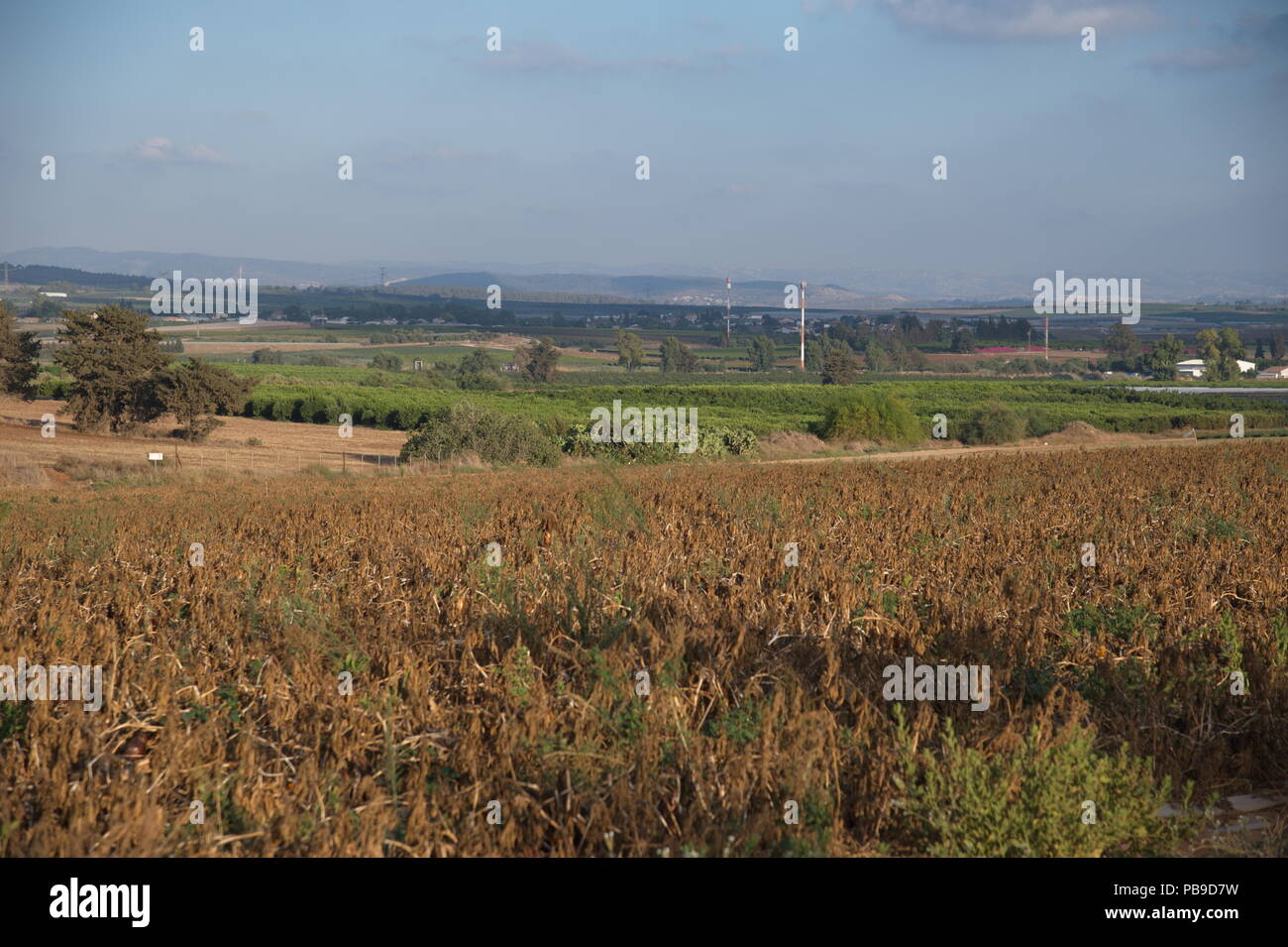 High crop yield wheat hi-res stock photography and images - Alamy