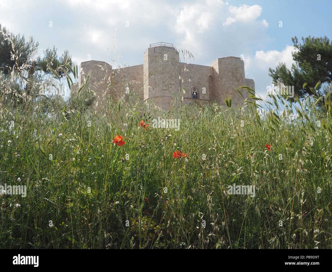 Castel del Monte Castle, Staufer Emperor Frederick II, UNESCO World ...