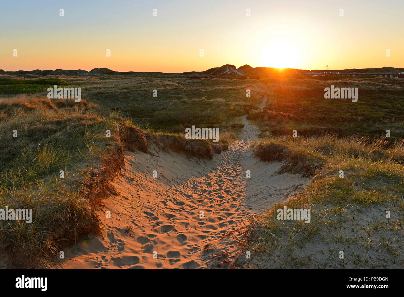 Deep Sun High Resolution Stock Photography and Images - Alamy