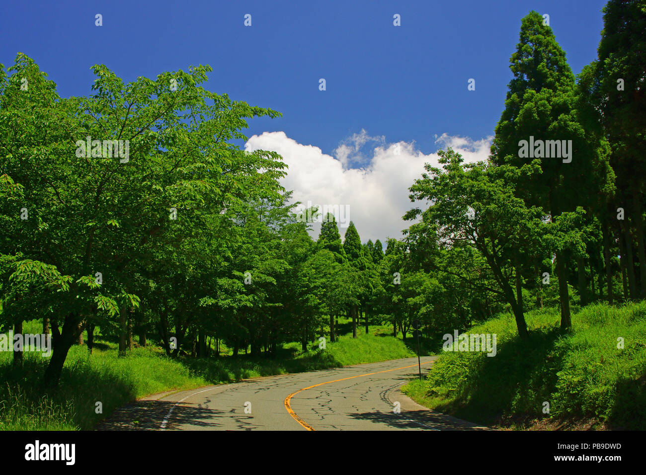 Aso Panorama line, Kumamoto Prefecture, Japan Stock Photo - Alamy