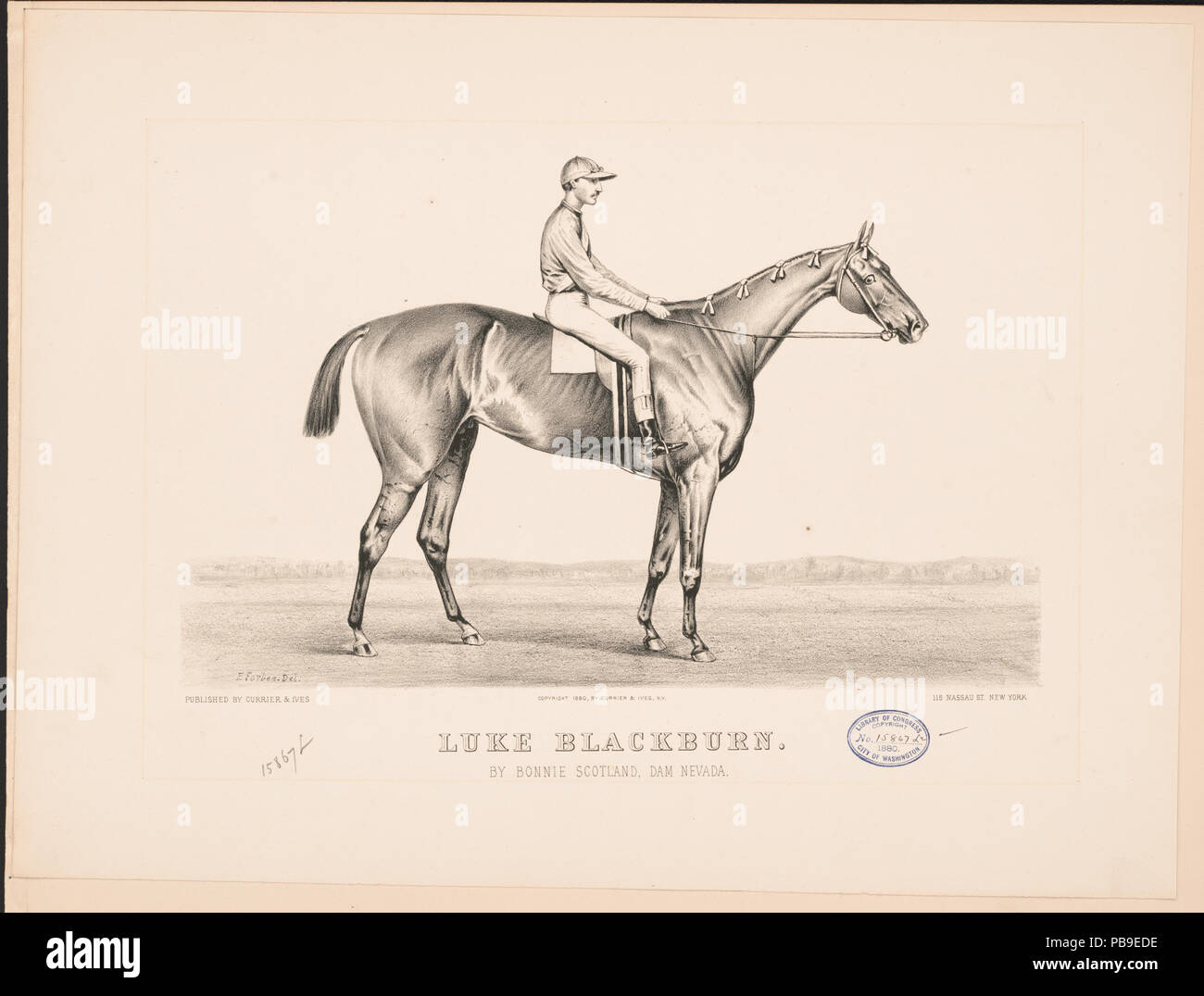 959 Luke Blackburn- by Bonnie Scotland, dam Nevada LCCN2002709980 Stock ...