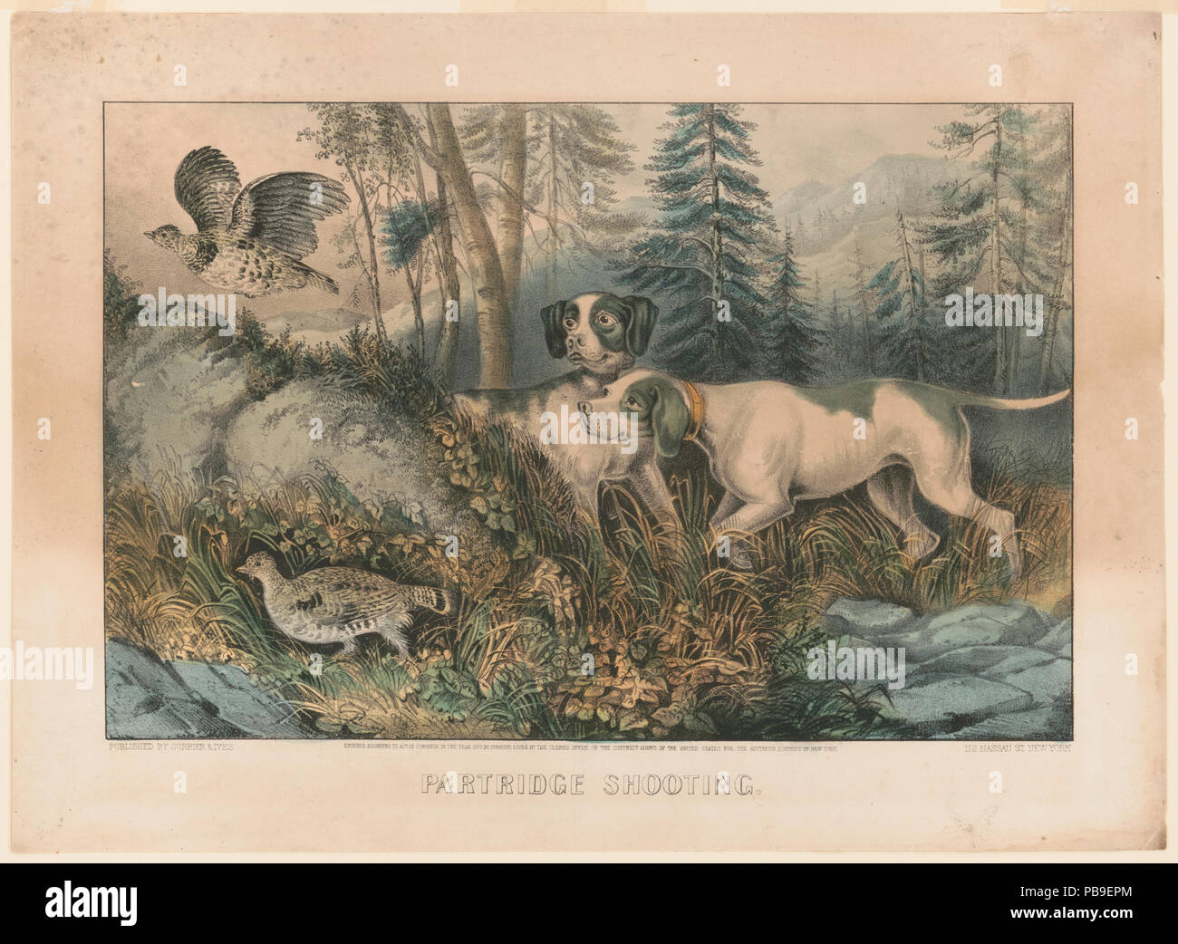 Shooting estates hi-res stock photography and images - Alamy