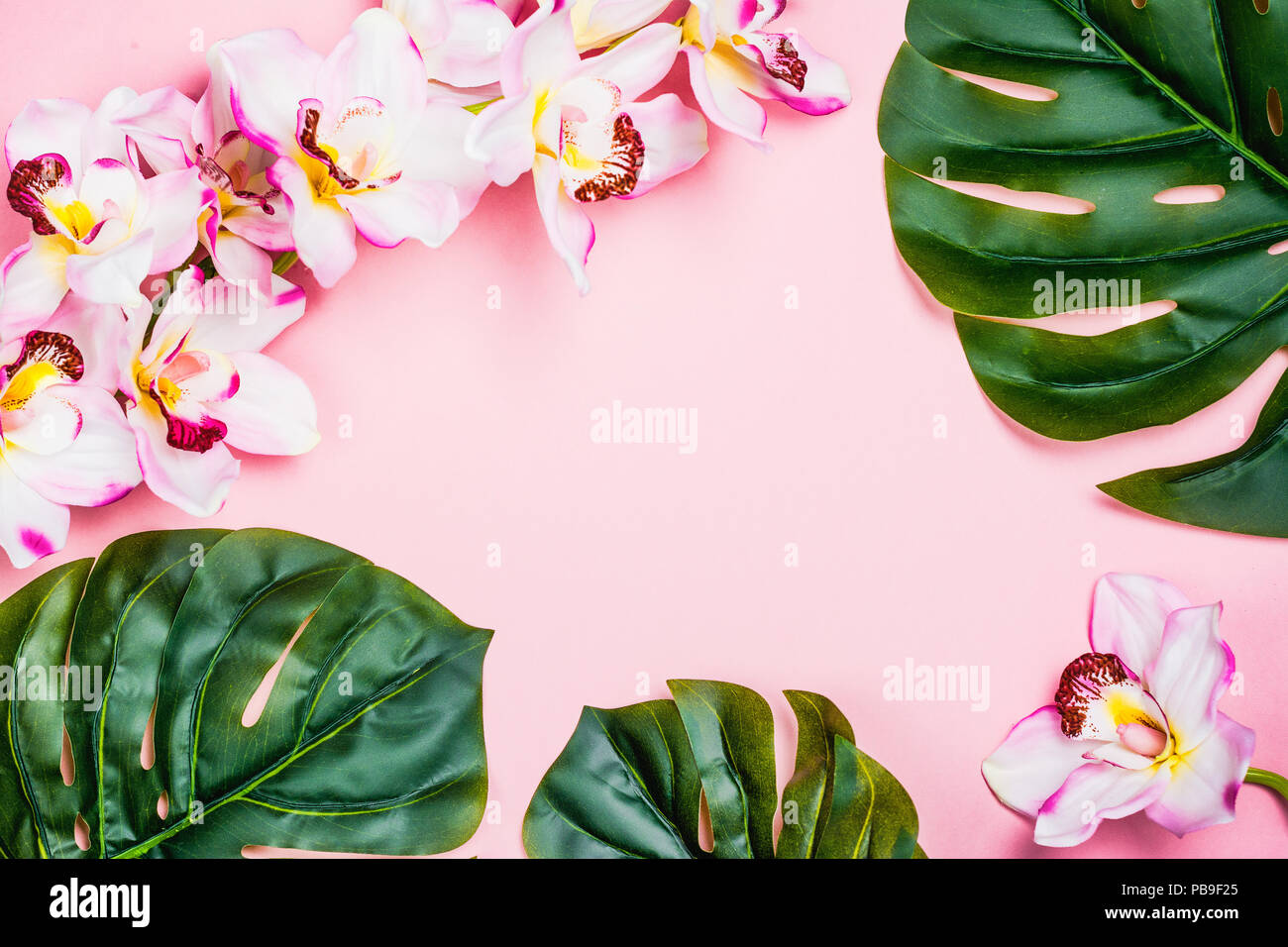 Colorful tropical background Stock Photo - Alamy