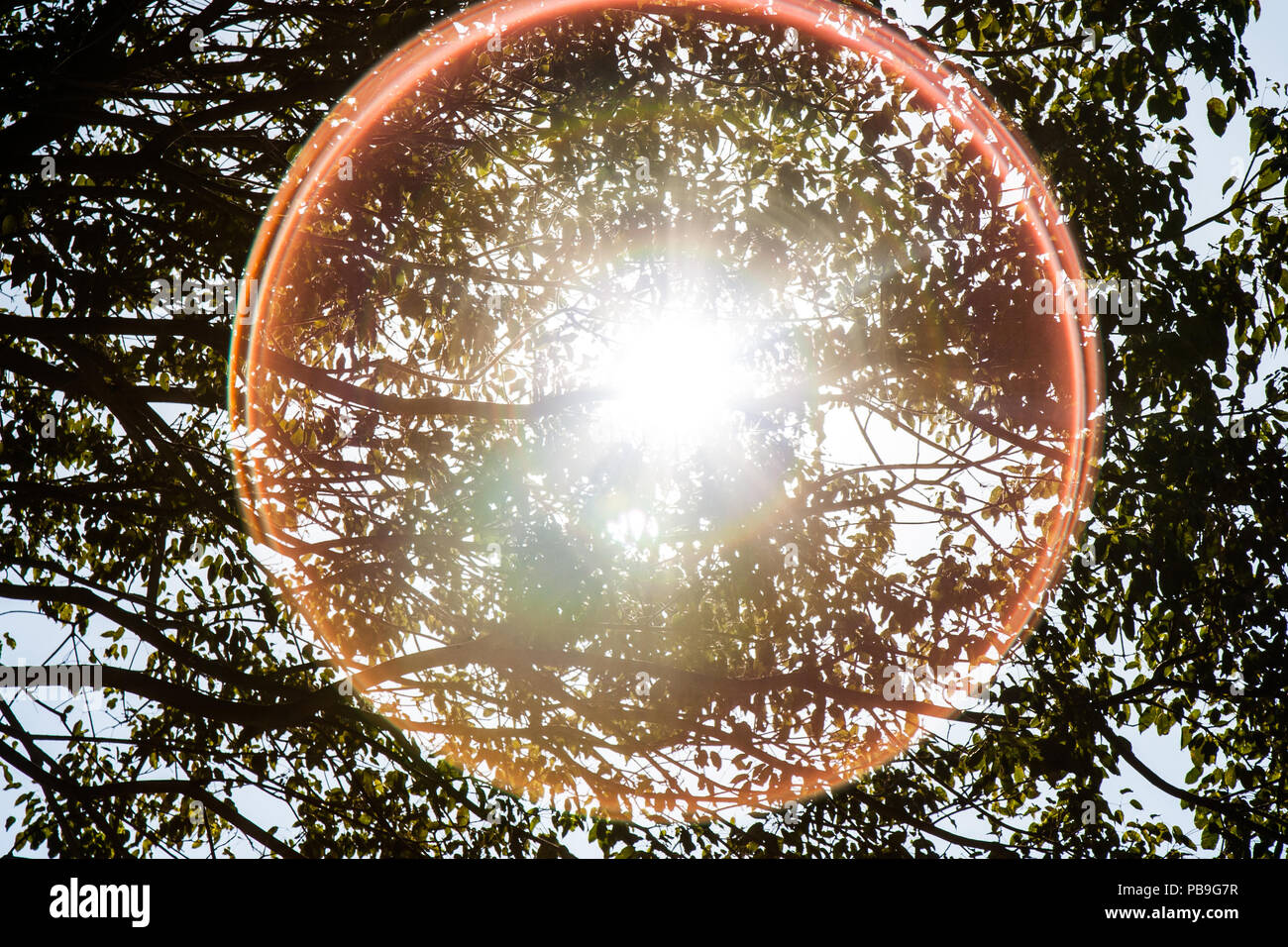 Circular sun flare with trees on the background Stock Photo - Alamy