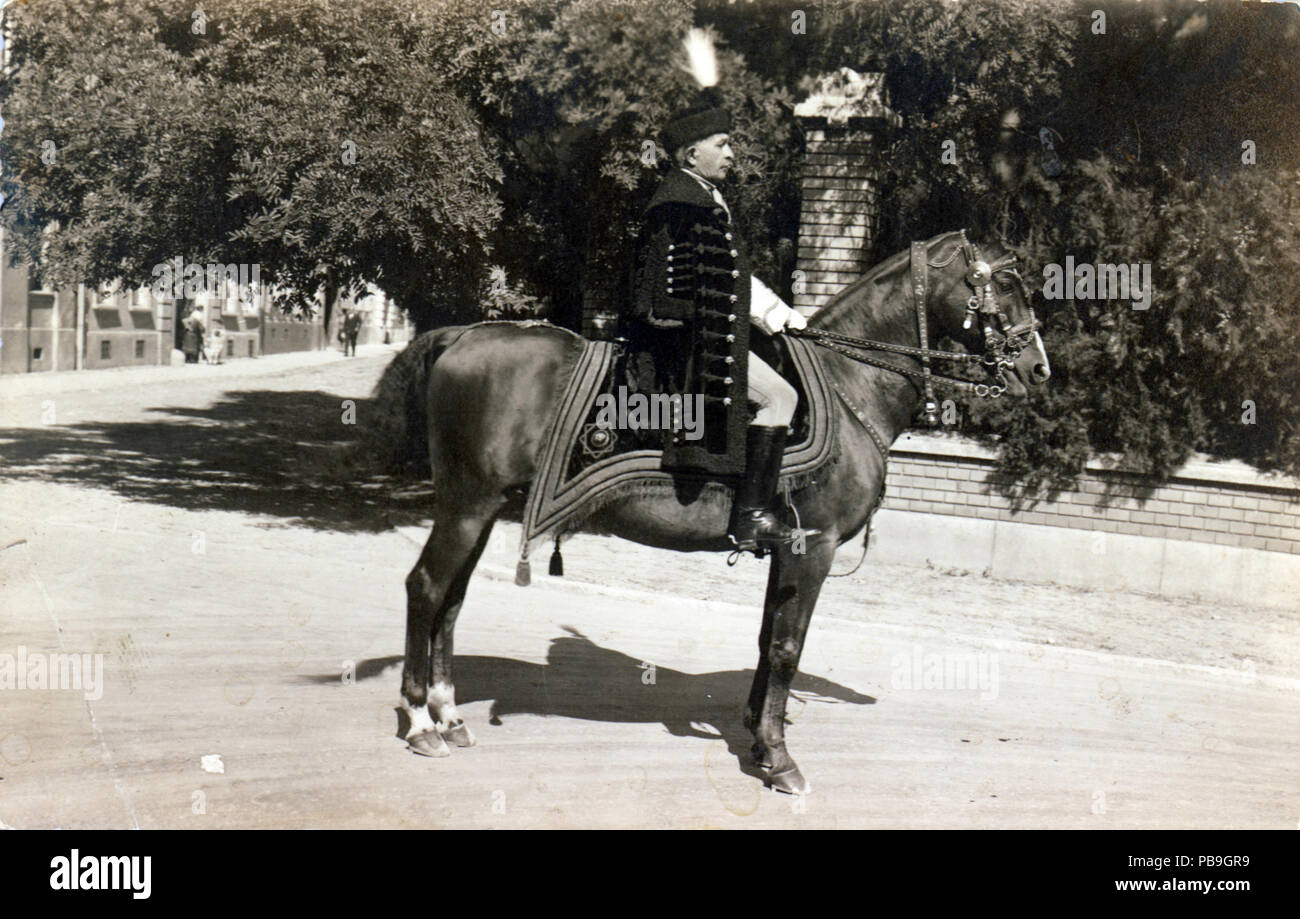 Horse capture hi-res stock photography and images - Alamy