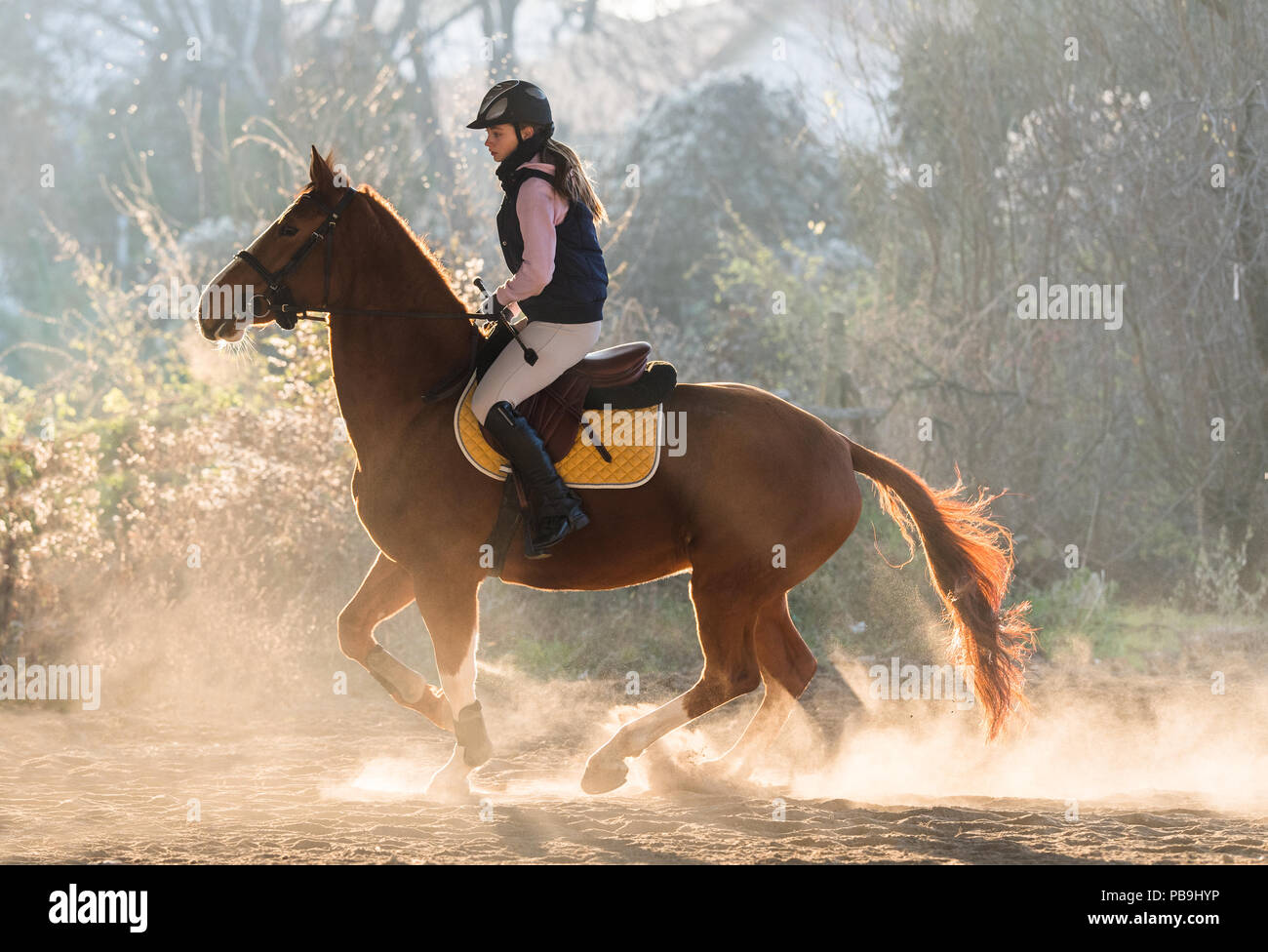 Young pretty girl riding a horse Stock Photo - Alamy
