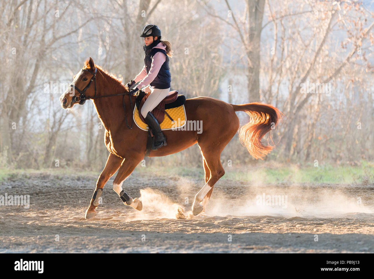 Young pretty girl riding a horse Stock Photo - Alamy