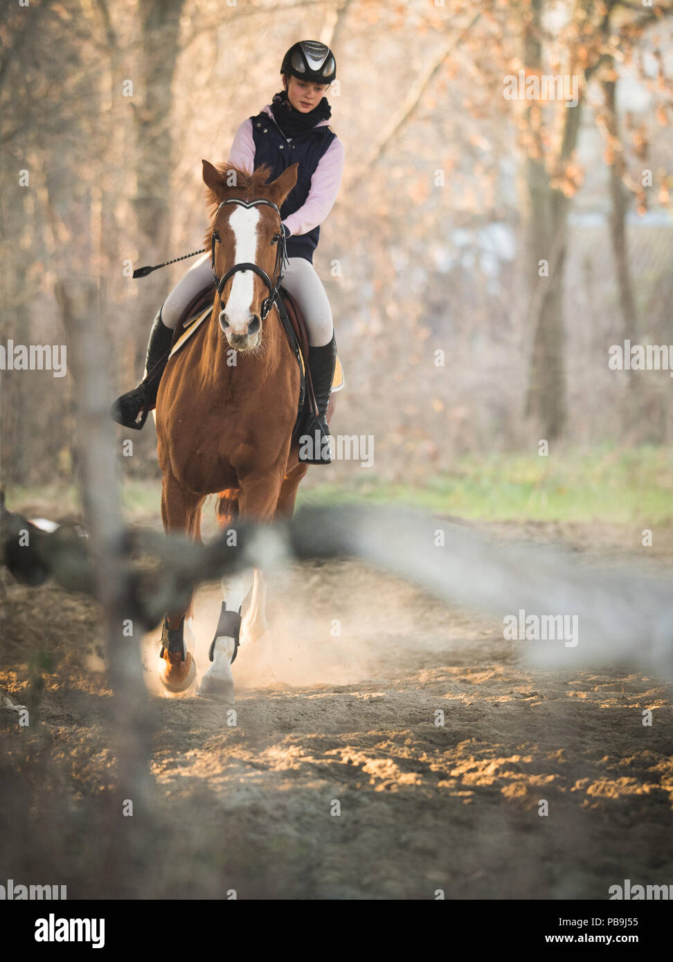 Young pretty girl riding a horse Stock Photo - Alamy
