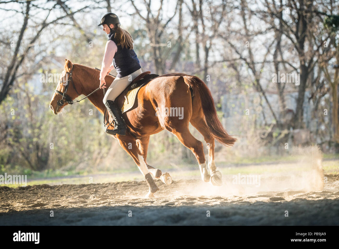 Young pretty girl riding a horse Stock Photo - Alamy