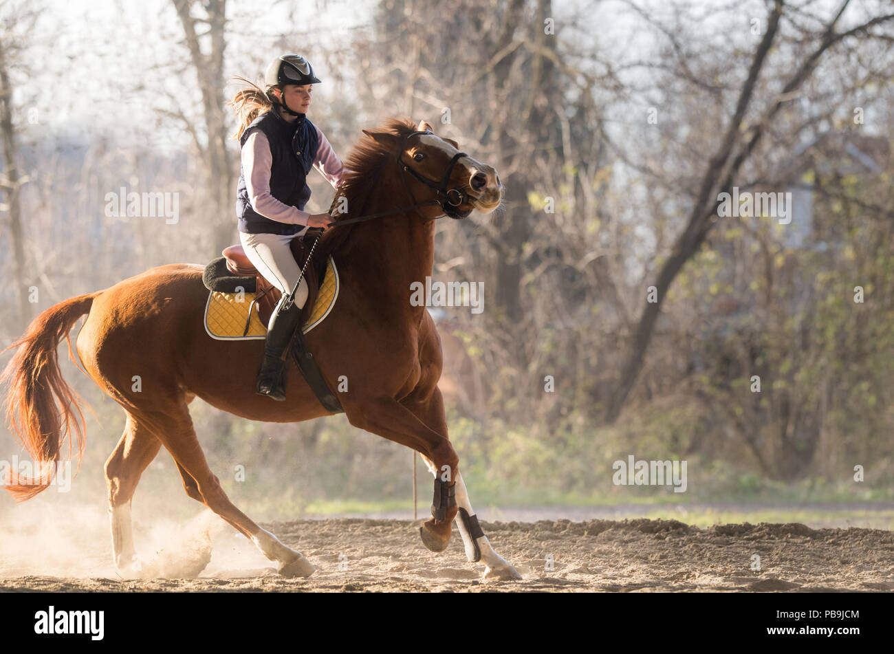 Young pretty girl riding a horse Stock Photo - Alamy