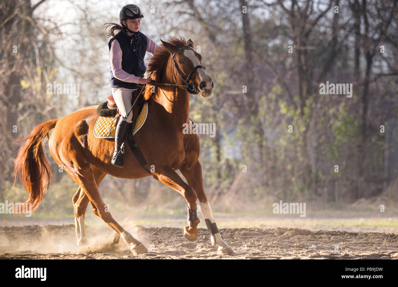 Young pretty girl riding a horse Stock Photo - Alamy