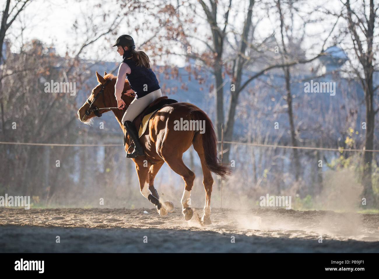 Young pretty girl riding a horse Stock Photo - Alamy