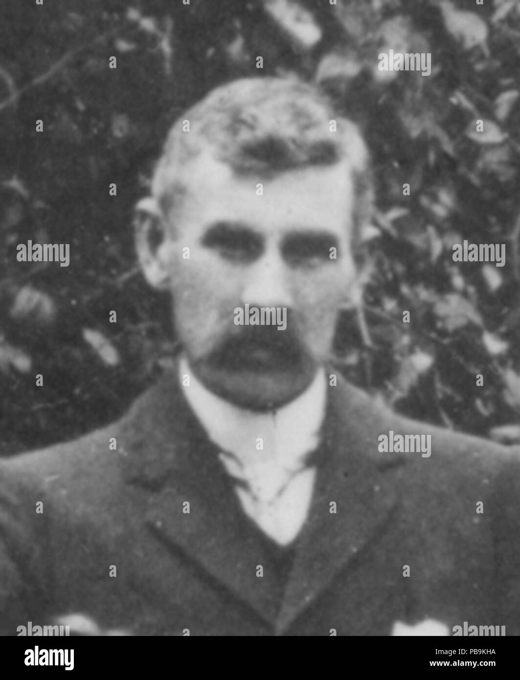 Tom mclean hi-res stock photography and images - Alamy